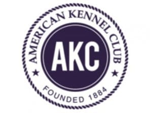 Marsh Run Kennels Premier Boarding Facility – Tri States Number One Kennel